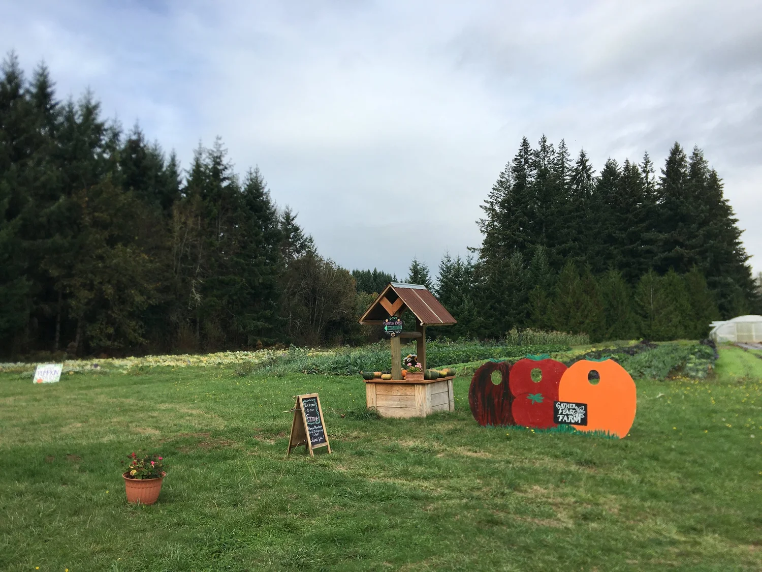 Gather and Feast Farm | Self-Service Farm Stand — Gather and Feast Farm