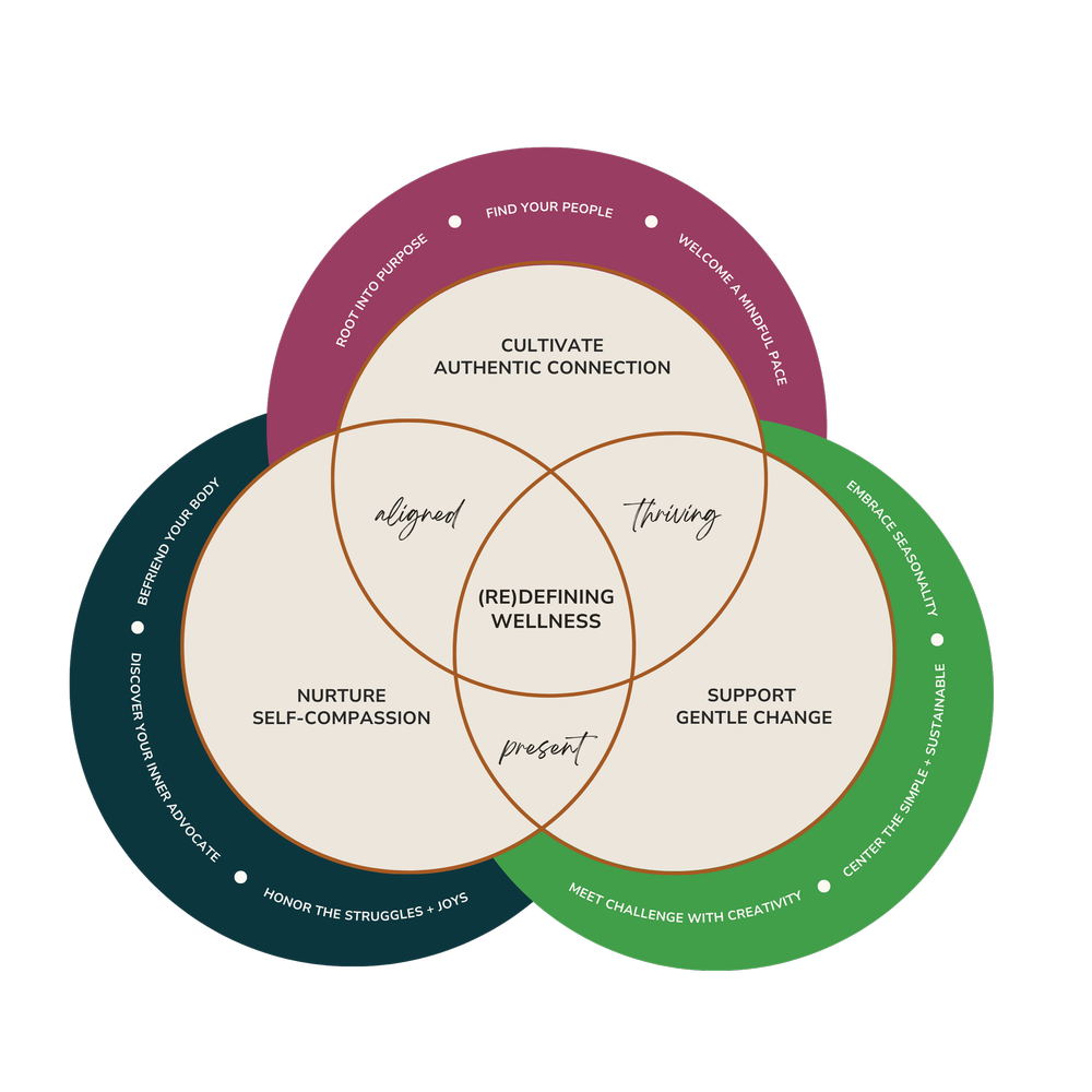 Redefining Wellness: A Guide to Living Well with Chronic Health Issues ...