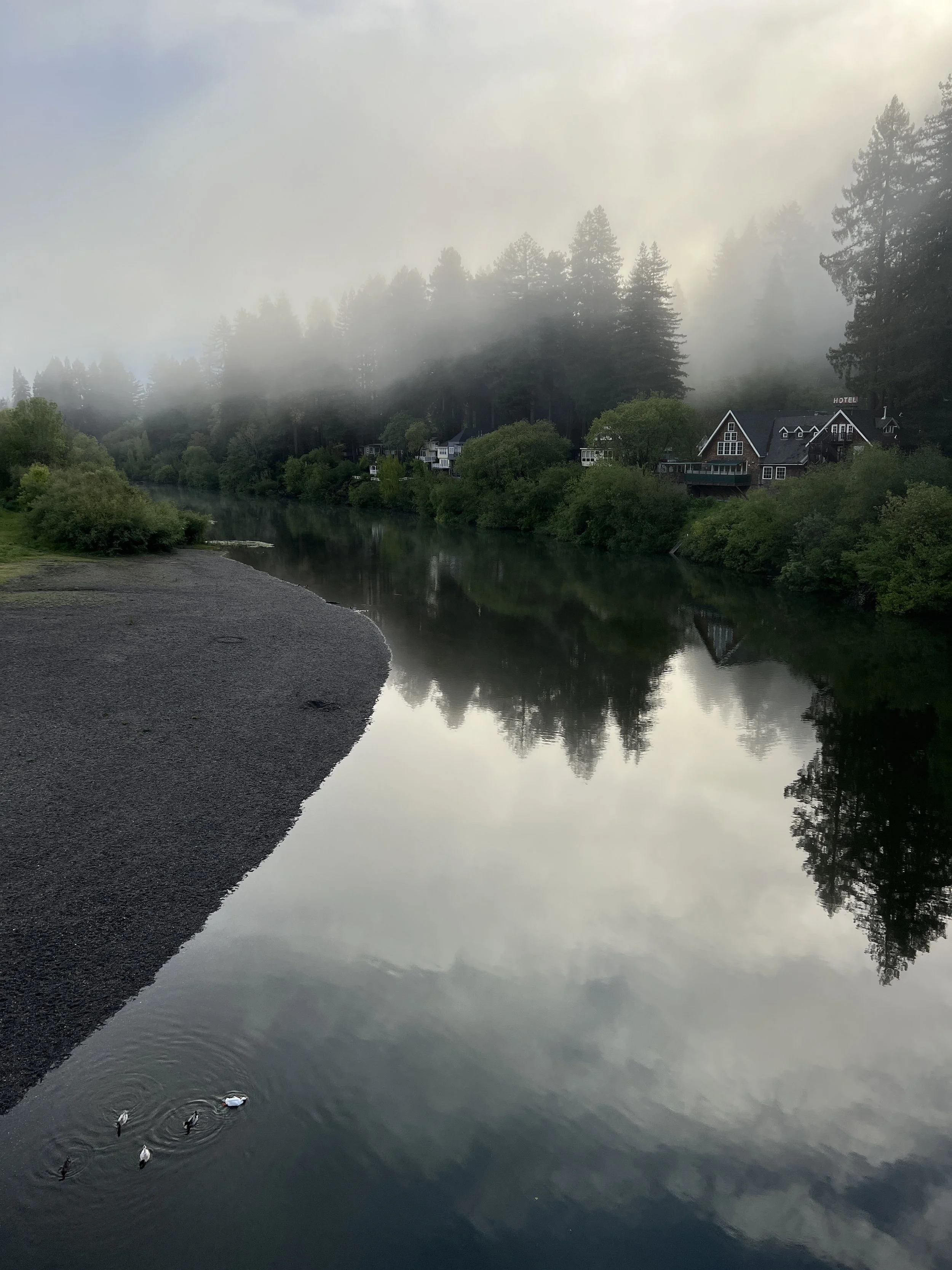 Contact Us — Friends of Monte Rio