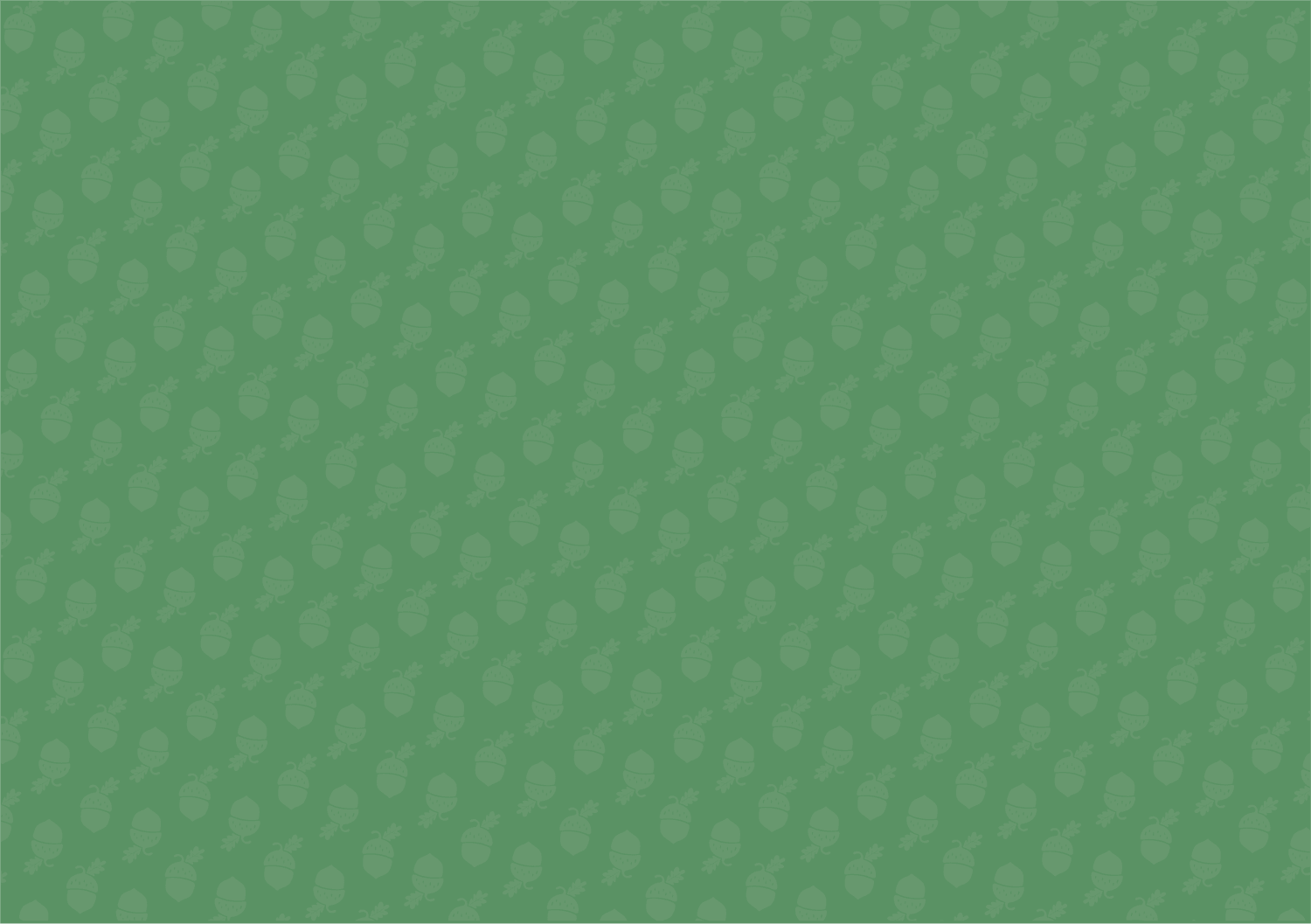 ADHD Assessment — Acorn Neurodiversity