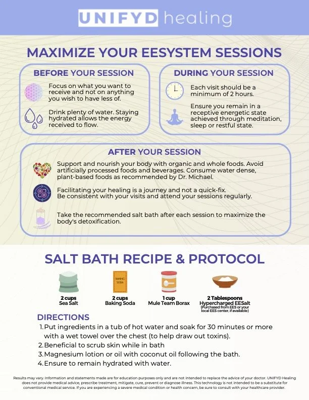 EE System — Holistic Healing Coffs Coast