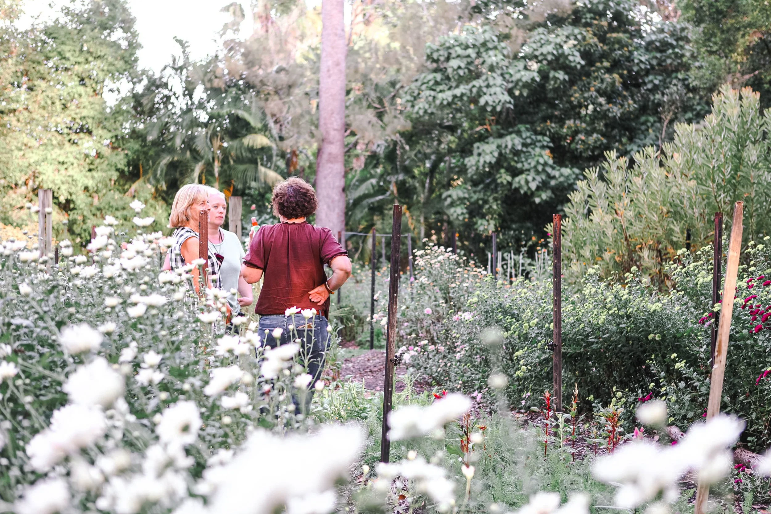 Flower Growing Workshops — Farlows' Floriculture