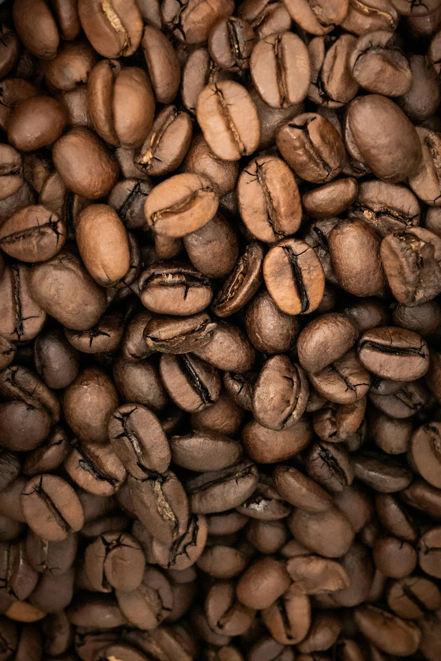 How to Tell Your Coffee Beans are Fresh — Madre's Espresso