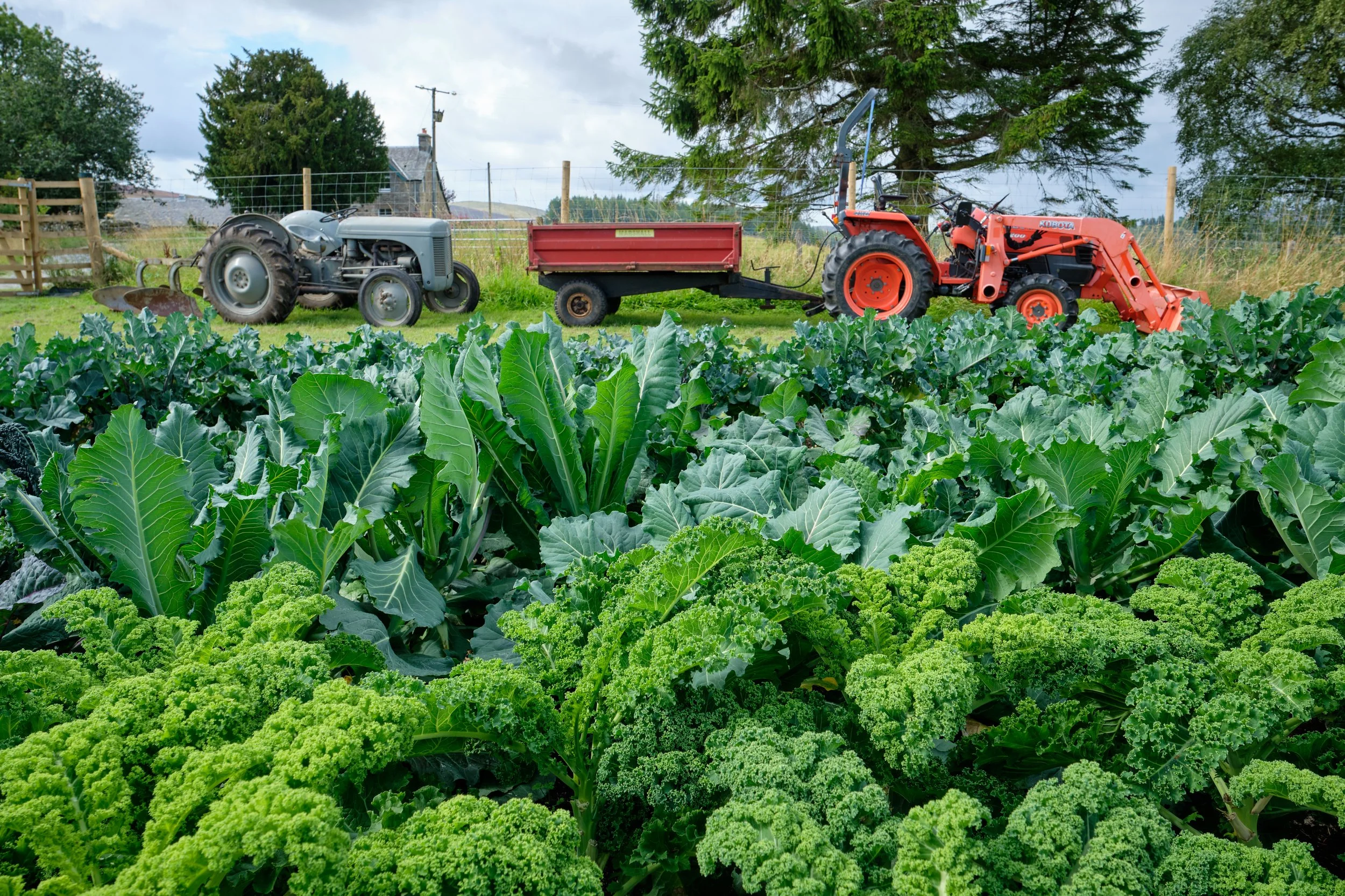 General 5 — little trochry farm.