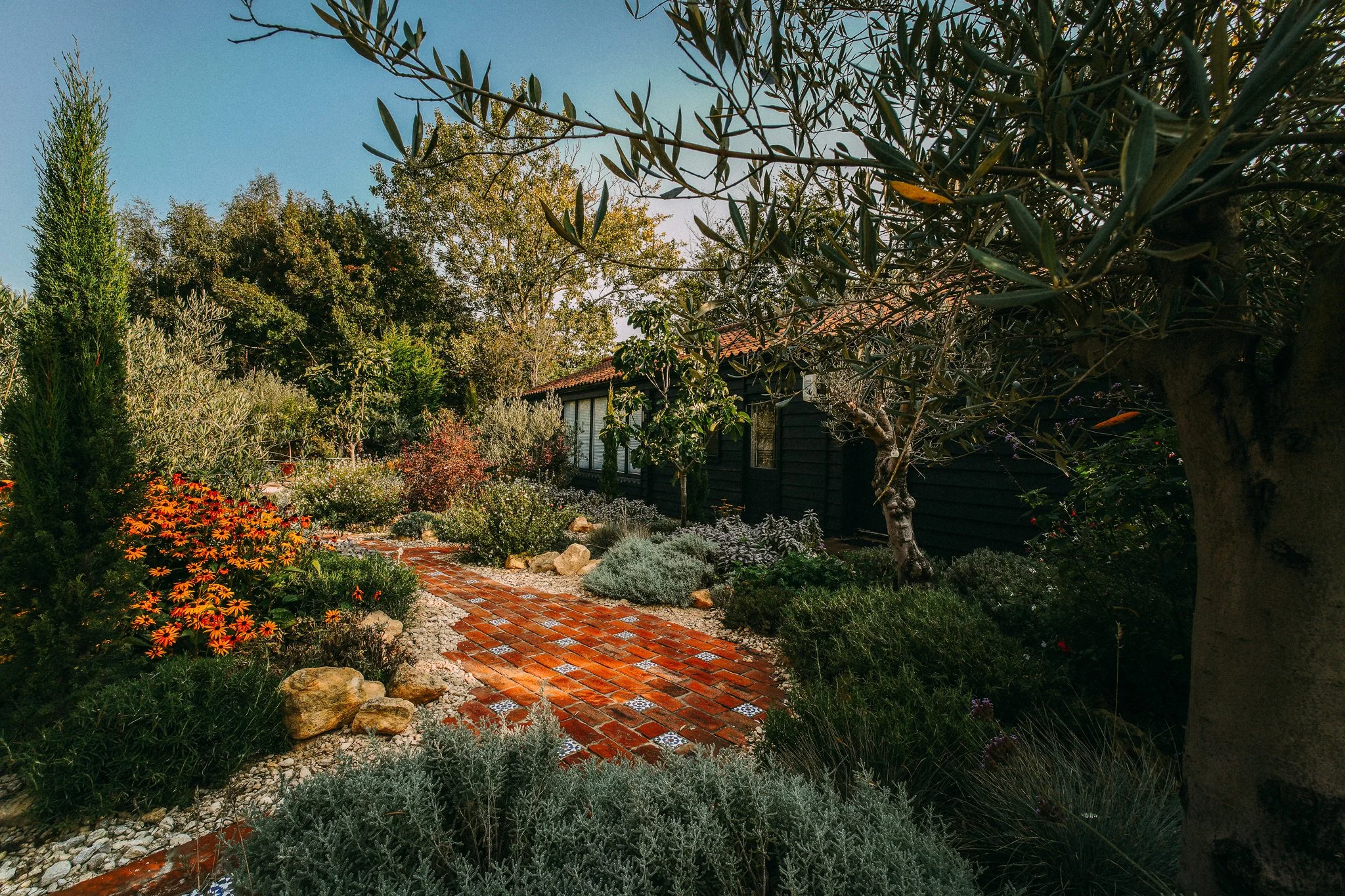 Phipps | Sustainable Garden Landscape Services