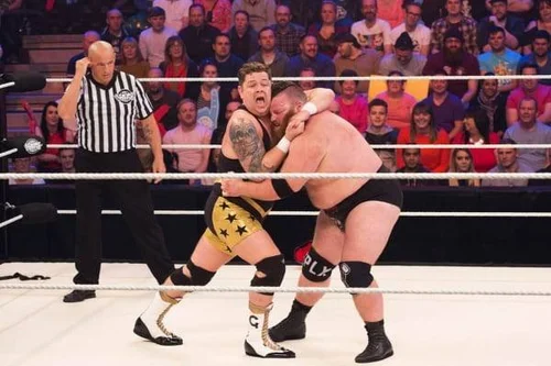 Show Rings — Wrestling Rings UK