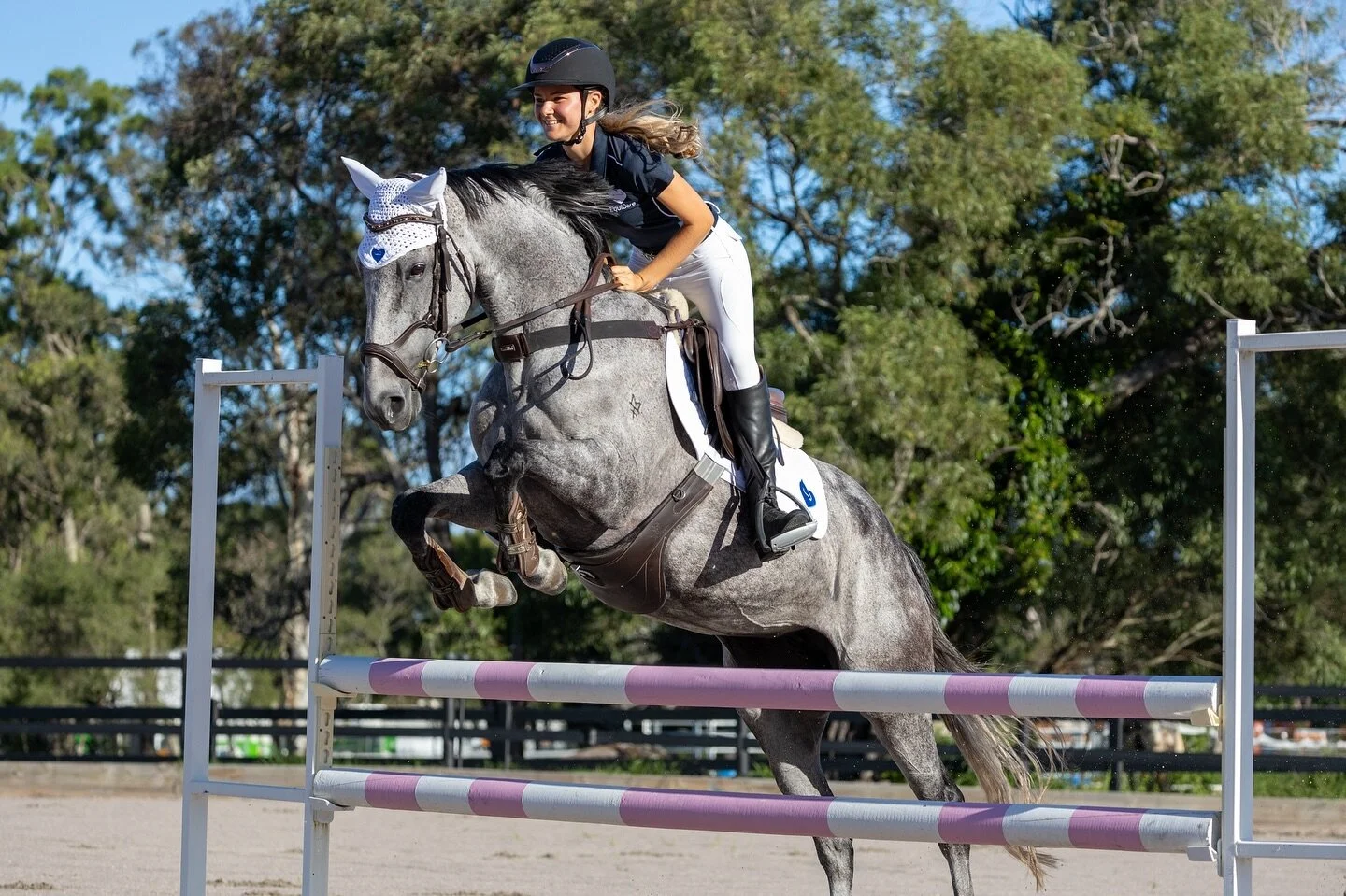 EquiCare App - Horse Health Management