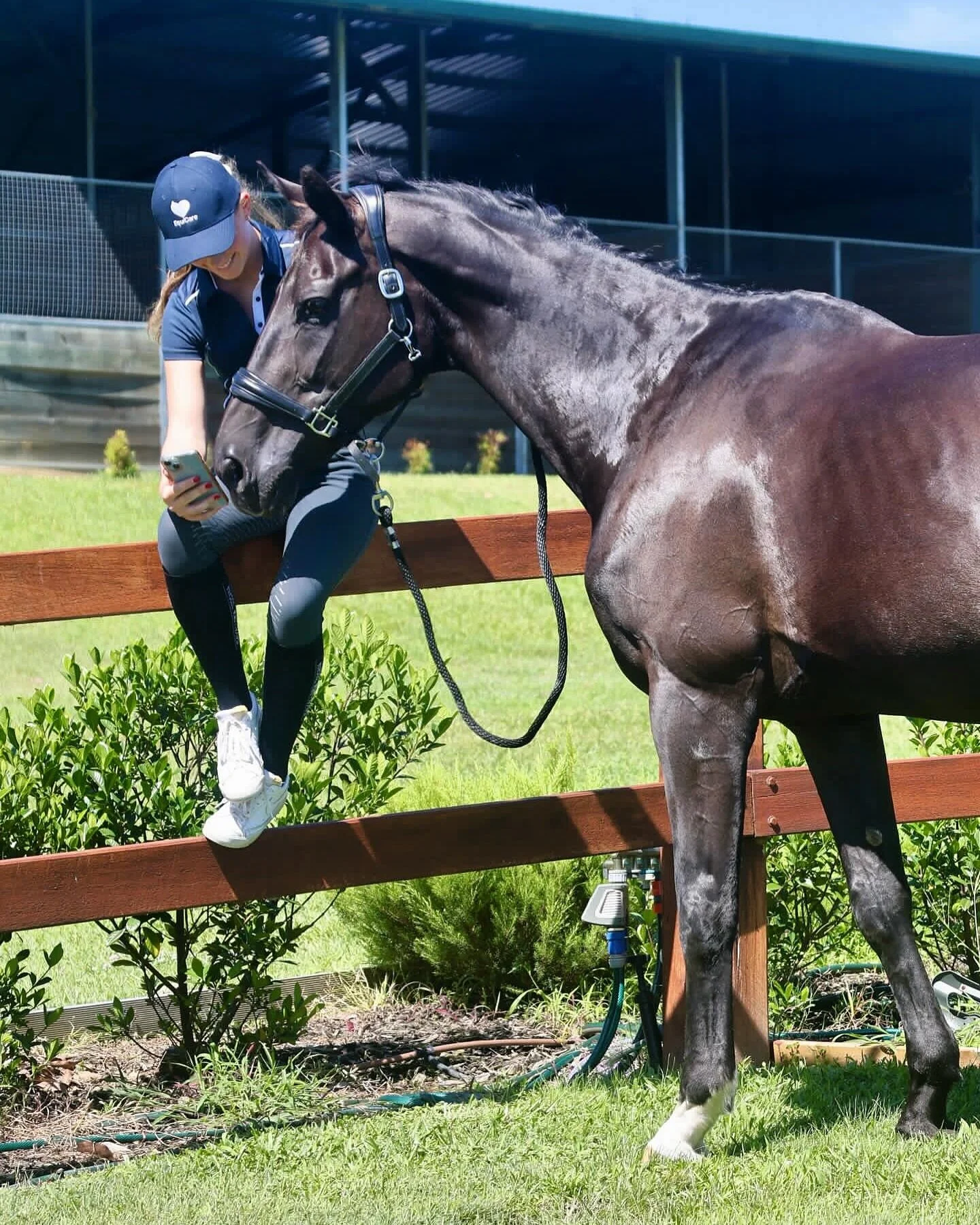 EquiCare App - Horse Health Management
