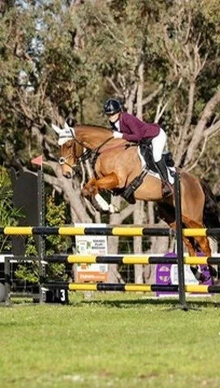 EquiCare App - Horse Health Management