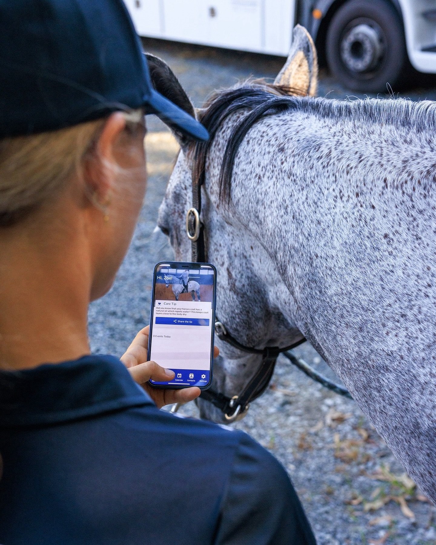 EquiCare App - Horse Health Management