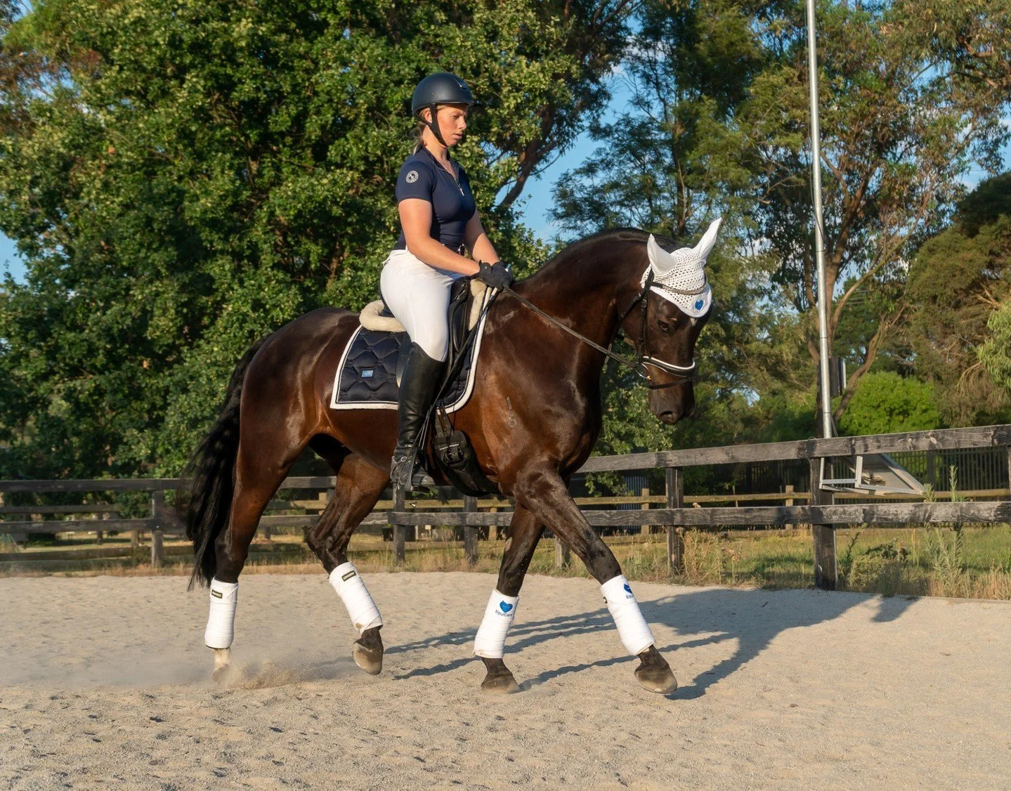 EquiCare App - Horse Health Management