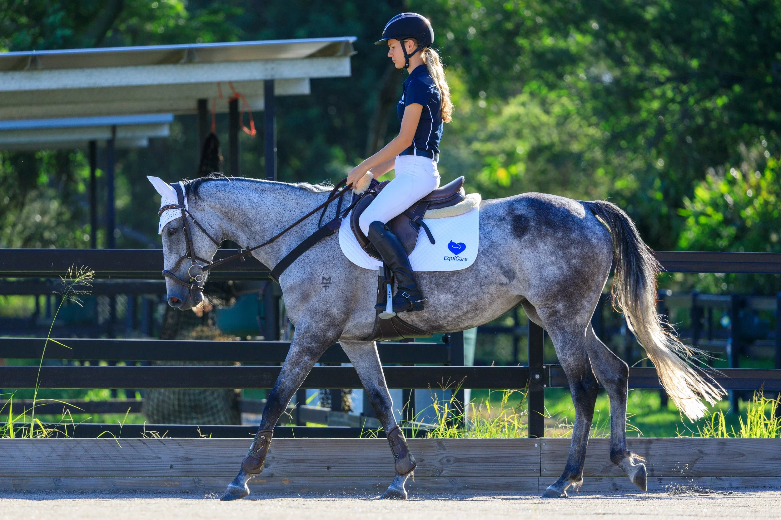 EquiCare App - Horse Health Management