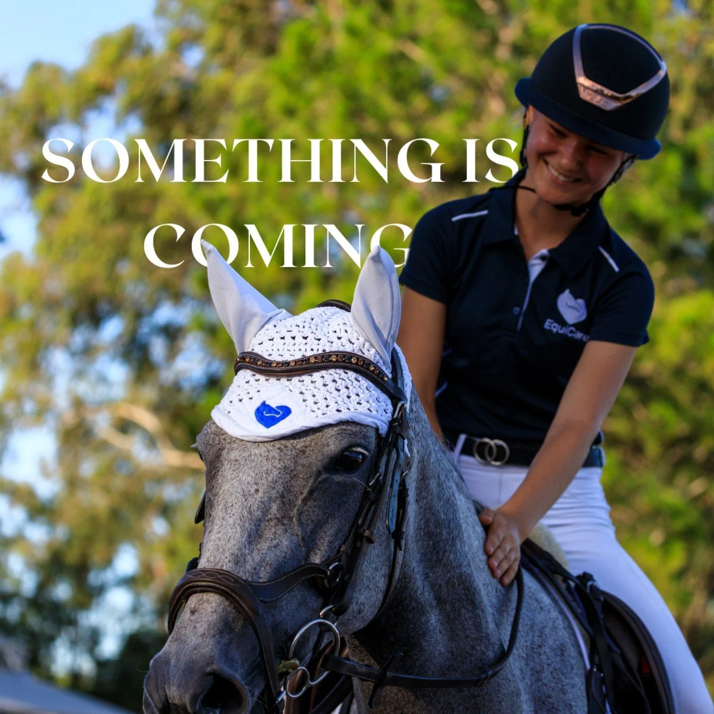 EquiCare App - Horse Health Management