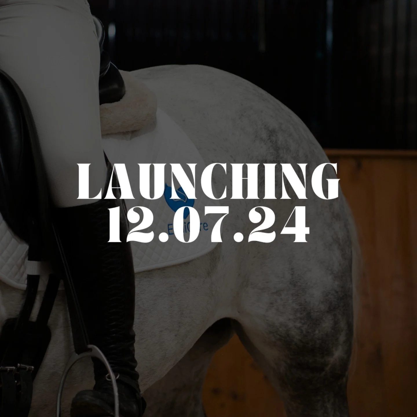 EquiCare App - Horse Health Management