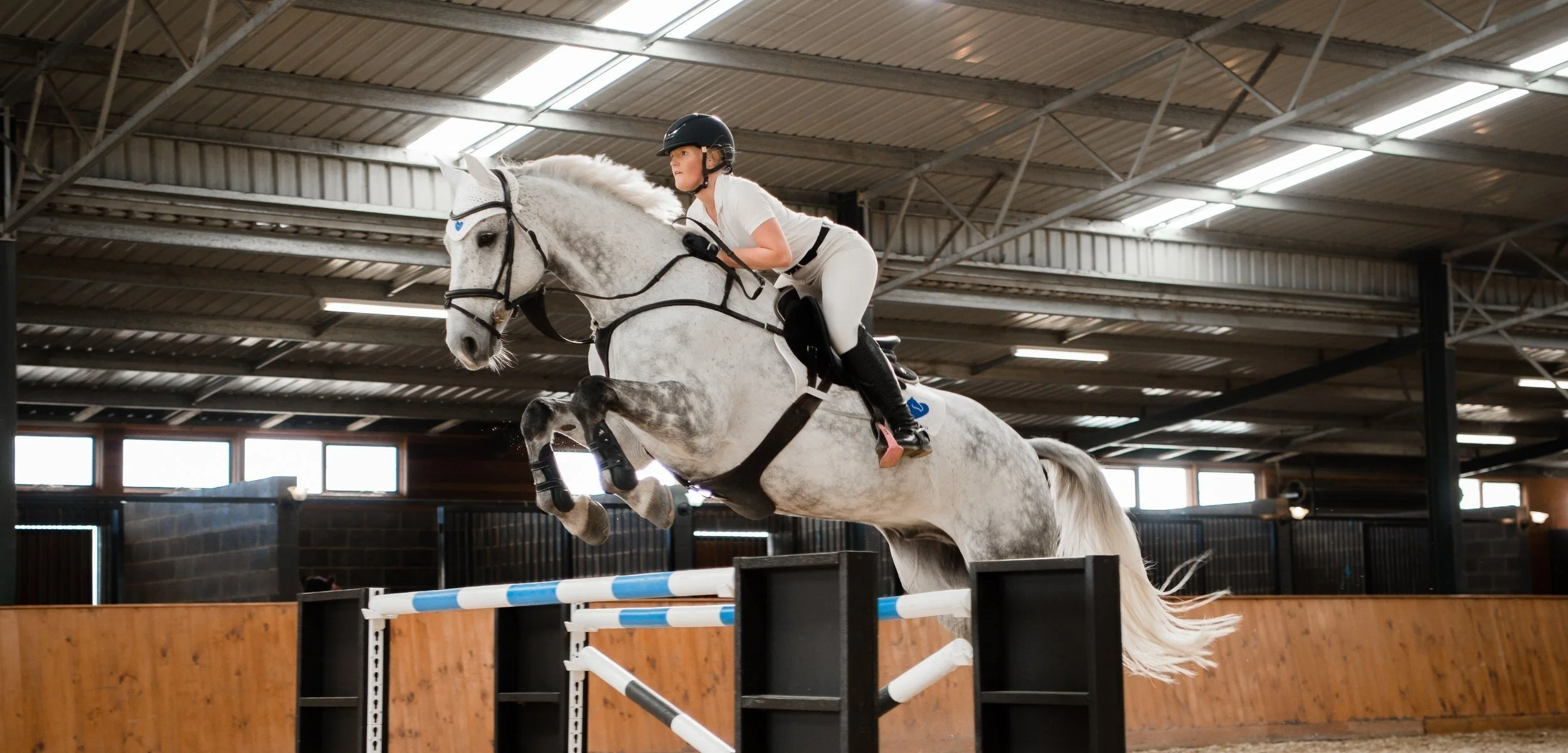 EquiCare App - Horse Health Management