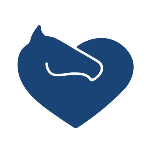 EquiCare App - Horse Health Management