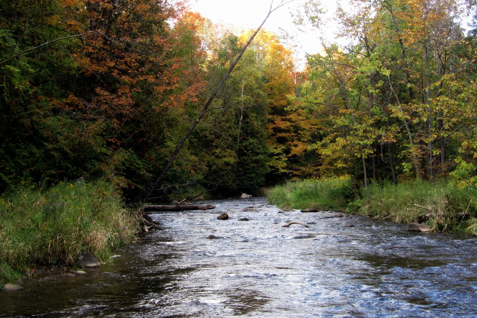 Credit River Water Walk