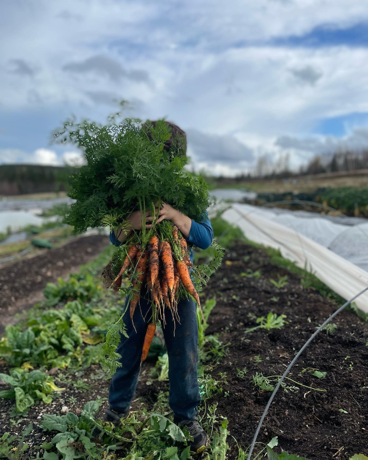 Homi Garden Farm Antigonish
