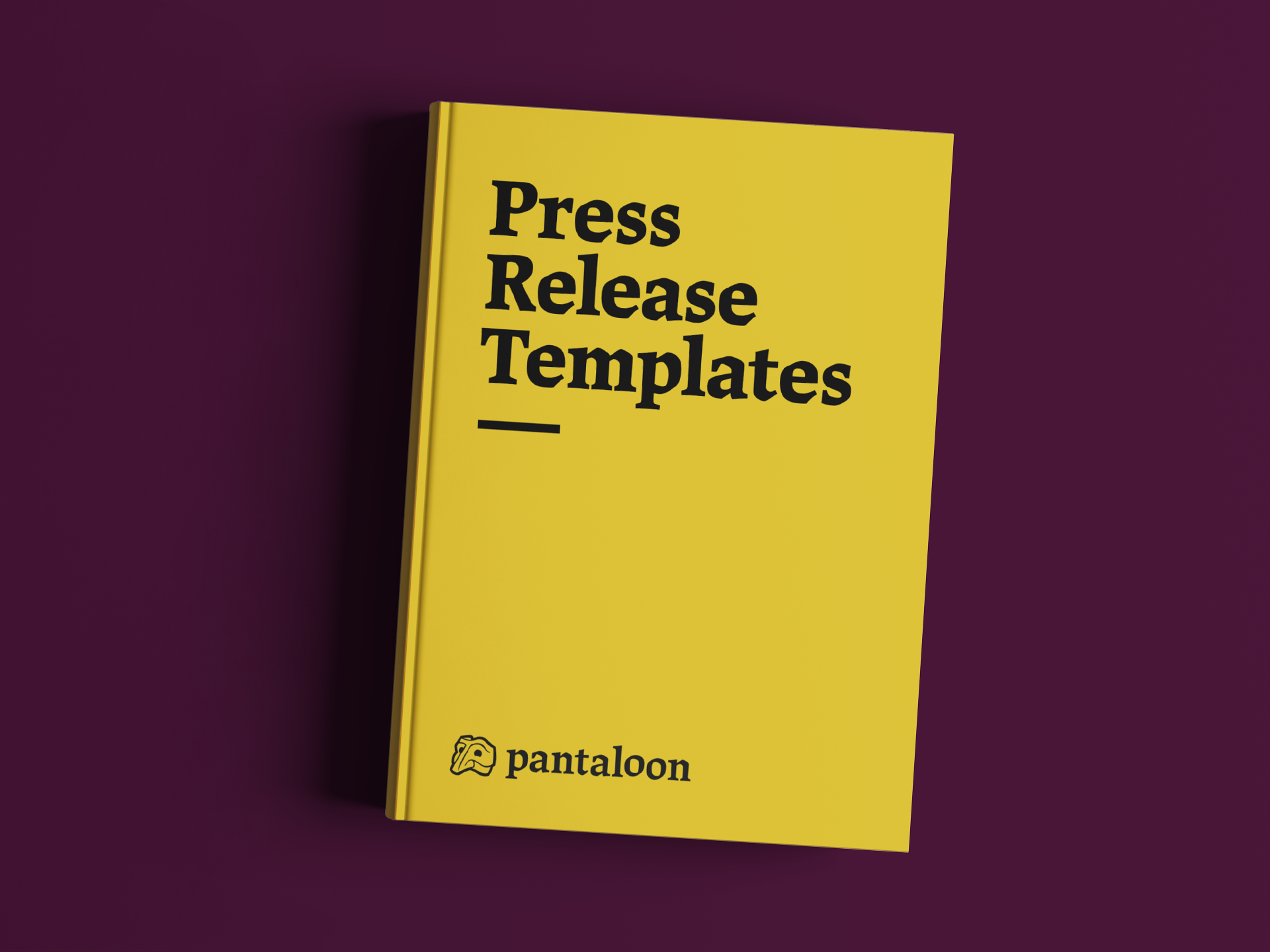 Pantaloon Publishing Hub — pantaloon