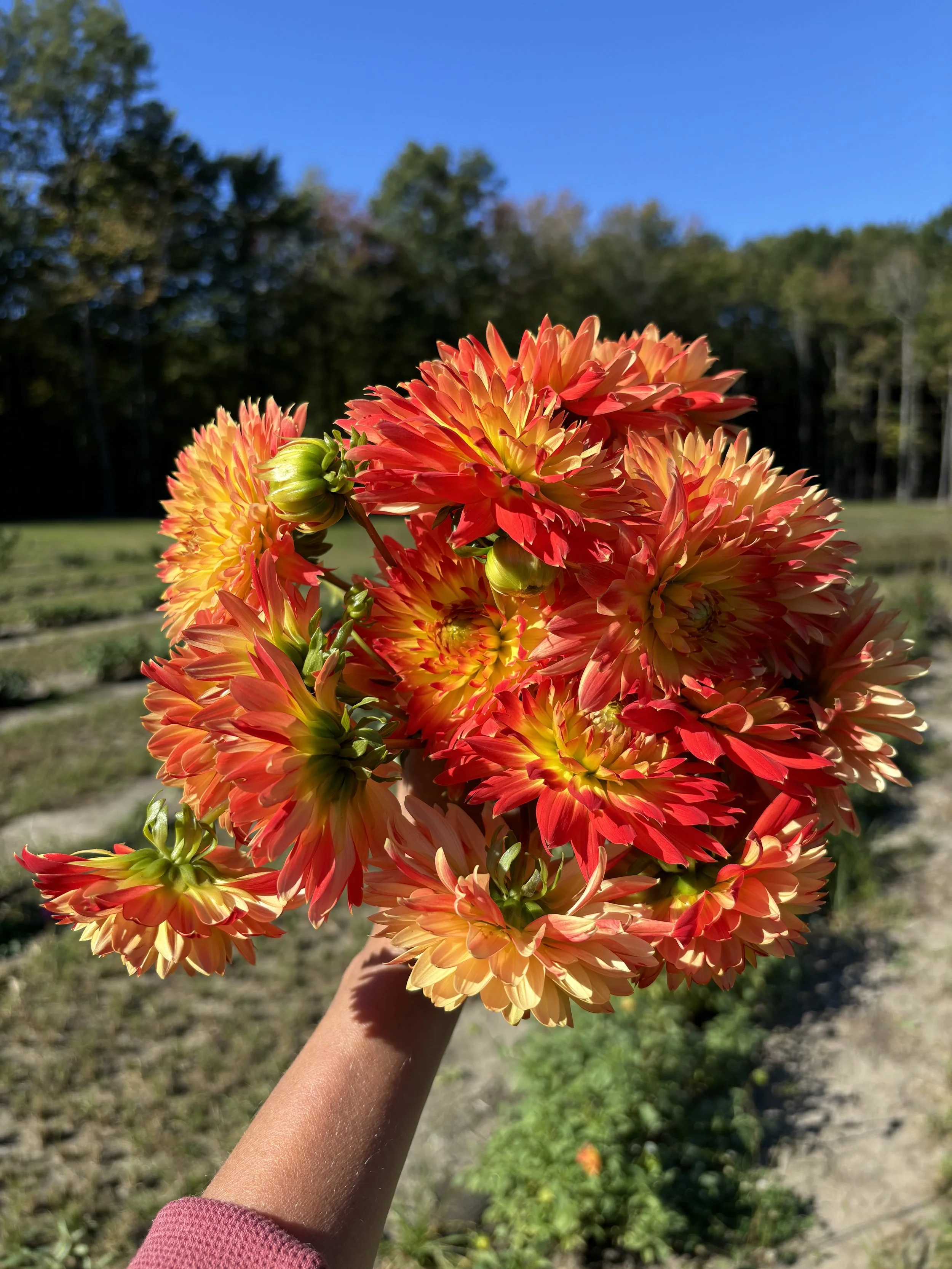 Store — White Barn Flower Company