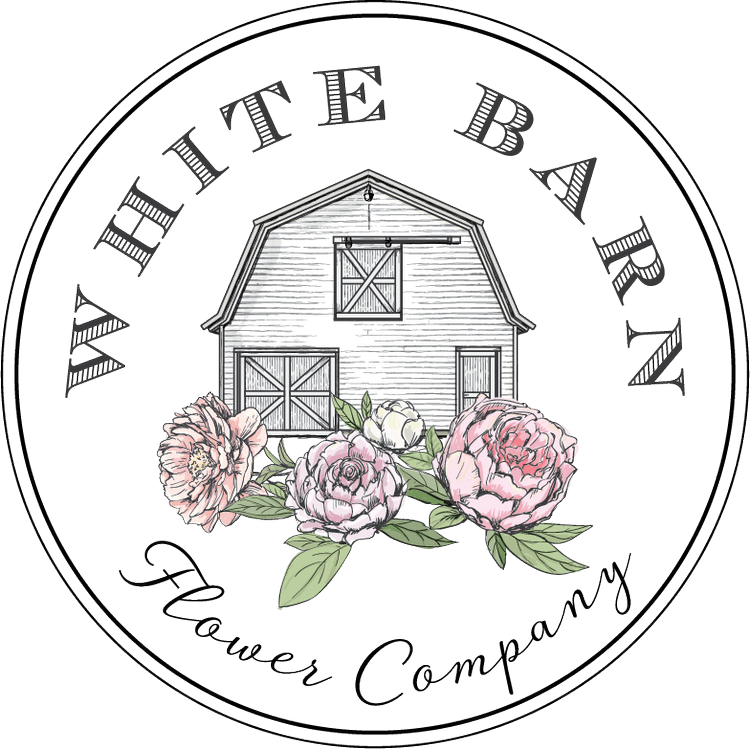 AC White Rabbit — White Barn Flower Company