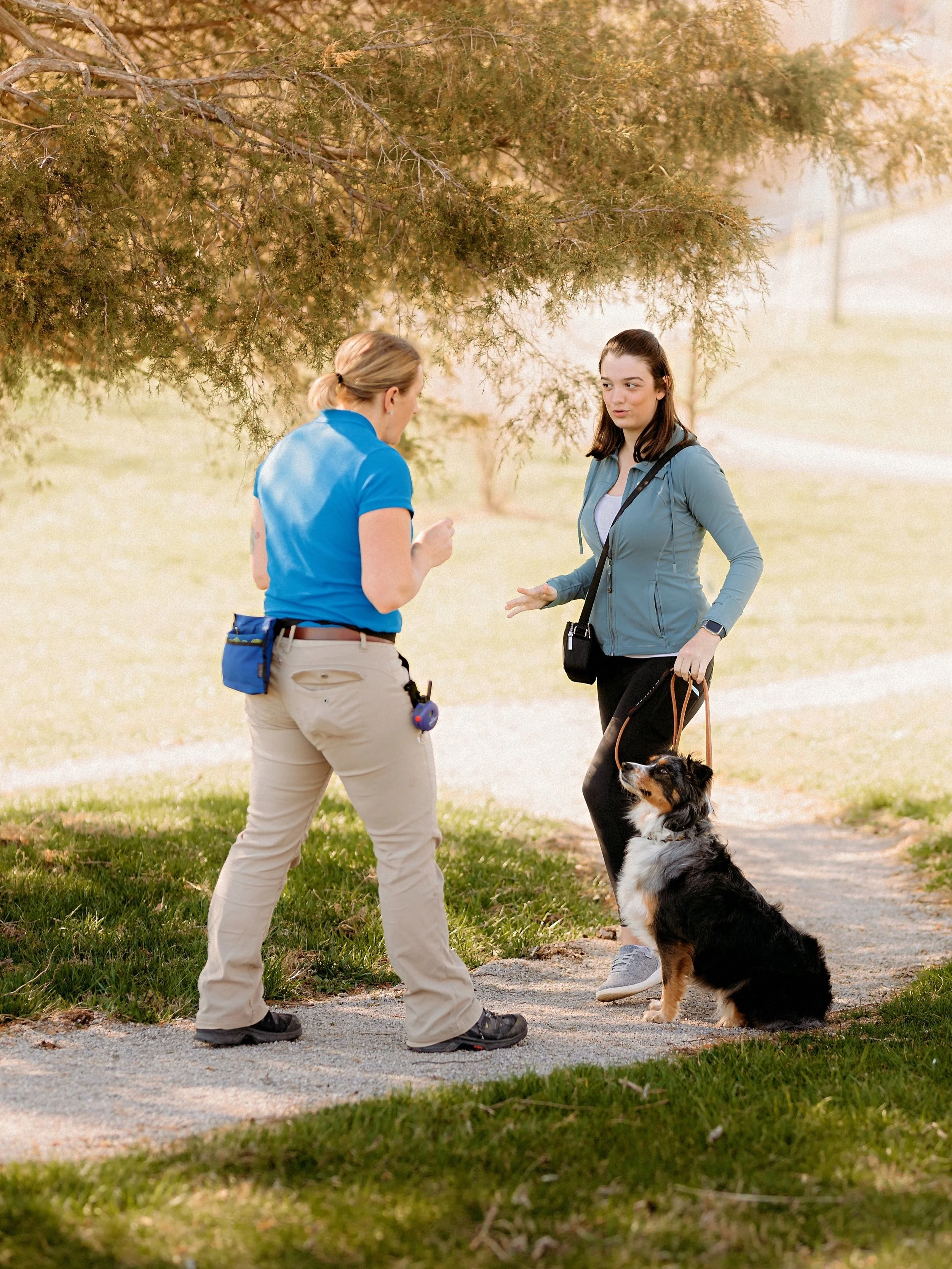 Obedience Dog Training | Private Lessons near Lexington, KY — Elkhorn ...