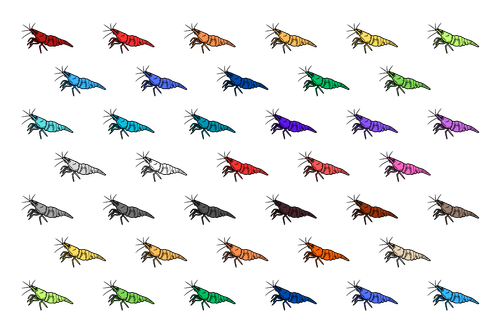 Canada Shipping for Live Aquarium Cherry Shrimps & Caridina Shrimps