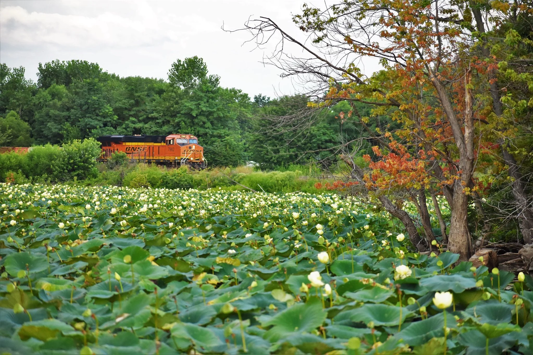 Welcome to Fort Madison | Discover & Explore - Plan Your Visit — Visit ...