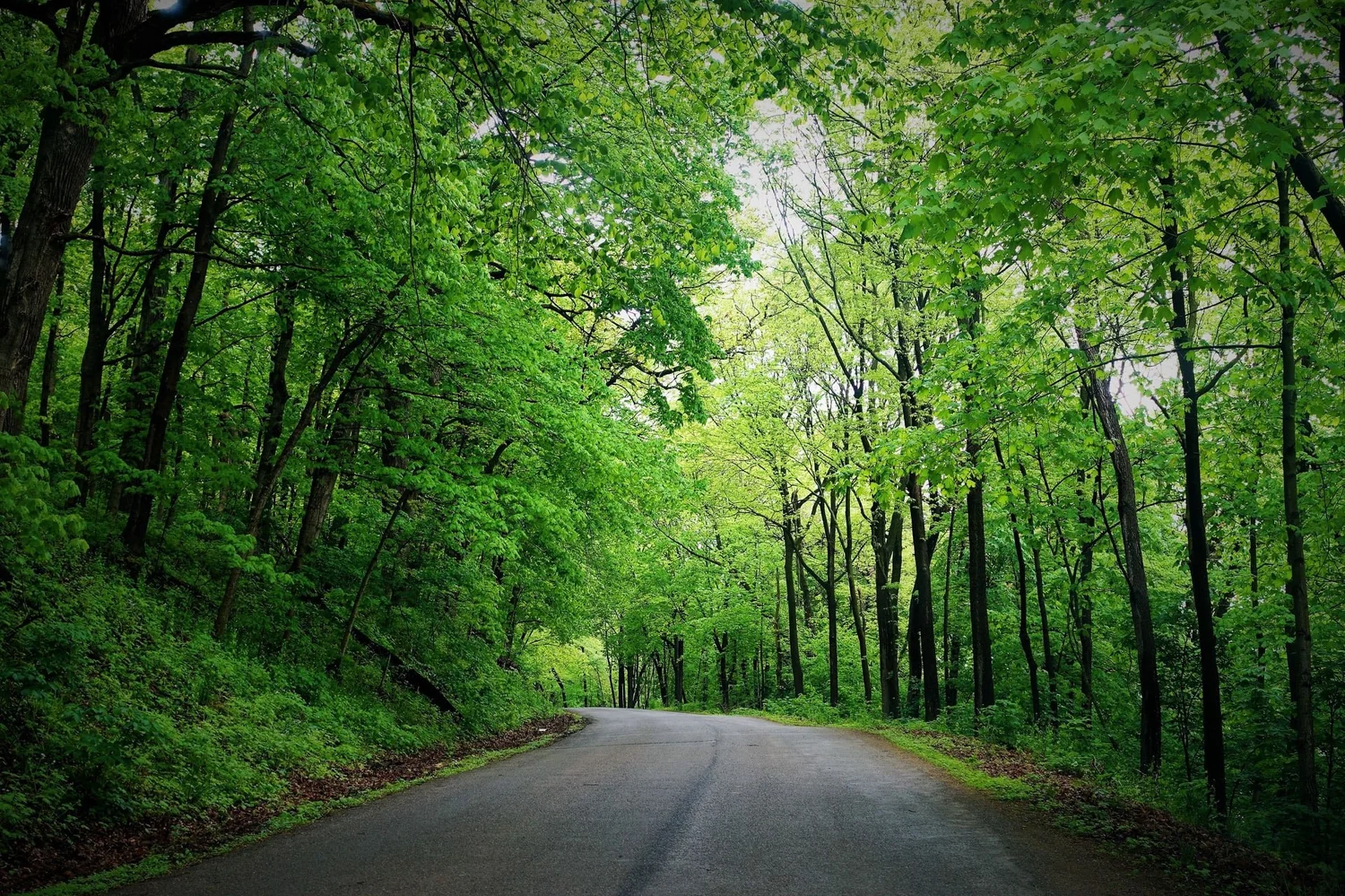Lake Cooper Loop — Visit Fort Madison, Iowa