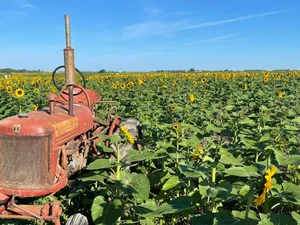 Lee County Communities | Discover & Explore Now — Visit Fort Madison, Iowa