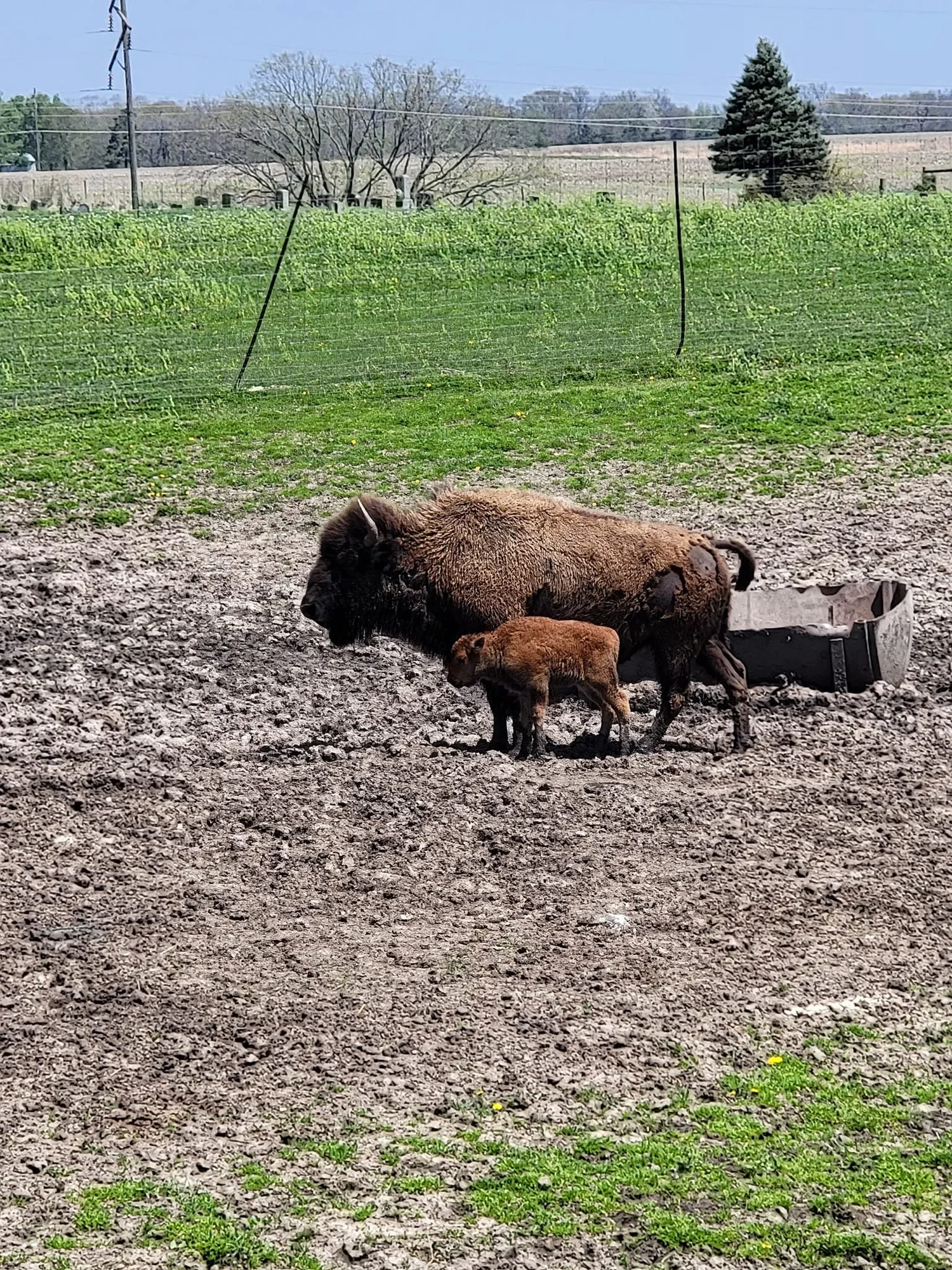 Agritourism | Discover & Experience Agriculture — Visit Fort Madison, Iowa
