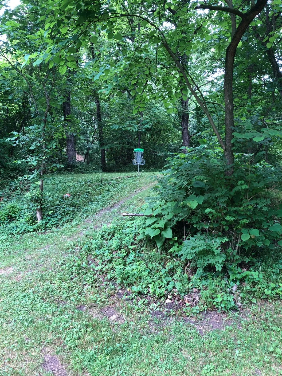 DISC GOLF | Play & Explore - Discover Disc Golf — Visit Fort Madison, Iowa