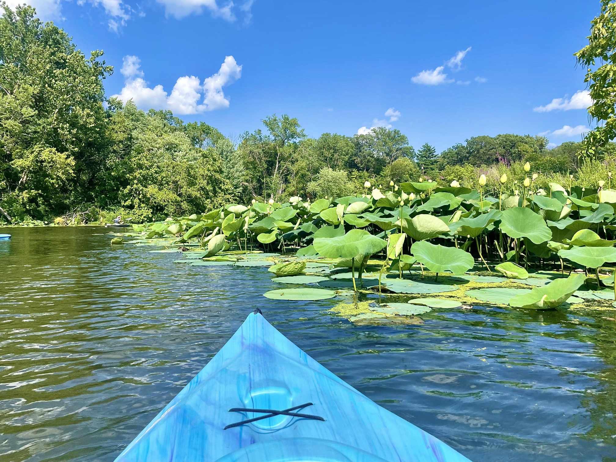 Lake Cooper Loop | Discover Scenic Midwest Adventures — Visit Fort ...