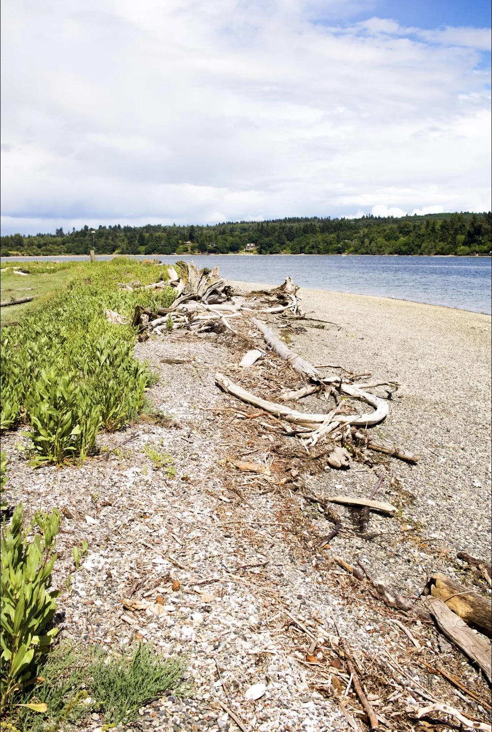 Booking — Camp Burton