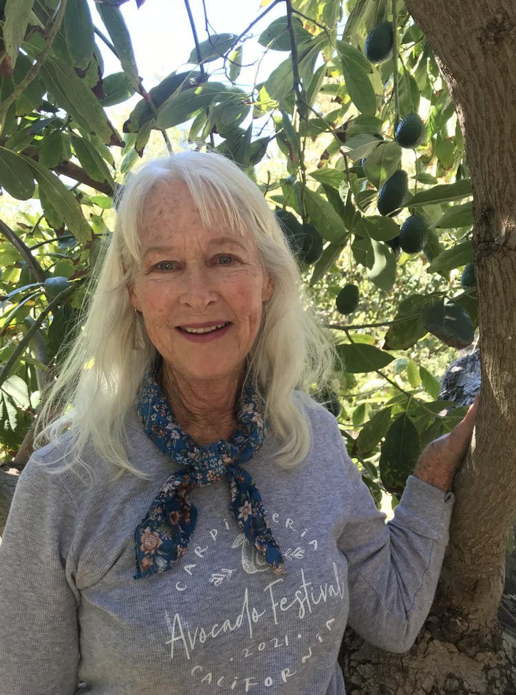 About — California Avocado Festival | Carpinteria Free Music Festival