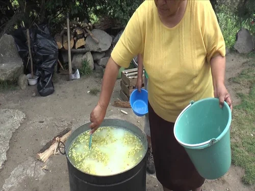 The Ultimate Guide to Traditional Mexican Dishes: Authentic Flavors ...