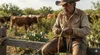 De Vaquero to Cowboy Pt. 1: How Spanish Vaqueros Forged the Roots of ...