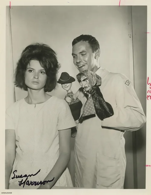 A tribute to actress Susan Harrison | ADSAUSAGE ARCHIVES | Access to ...