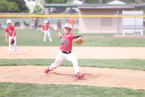 Youth Sticks Select — Iowa Sticks Baseball