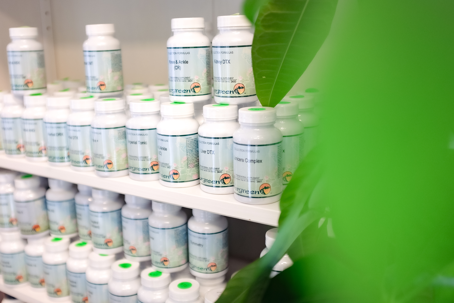 Herbal Medicine — Acupuncture by Andrea