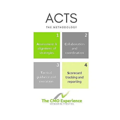 Our Approach — The CMO Experience