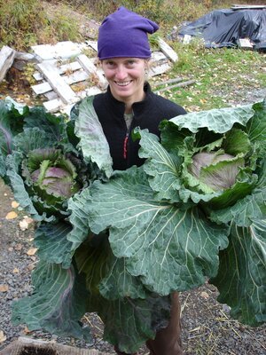 Vendors — Matanuska Community Farmers Market