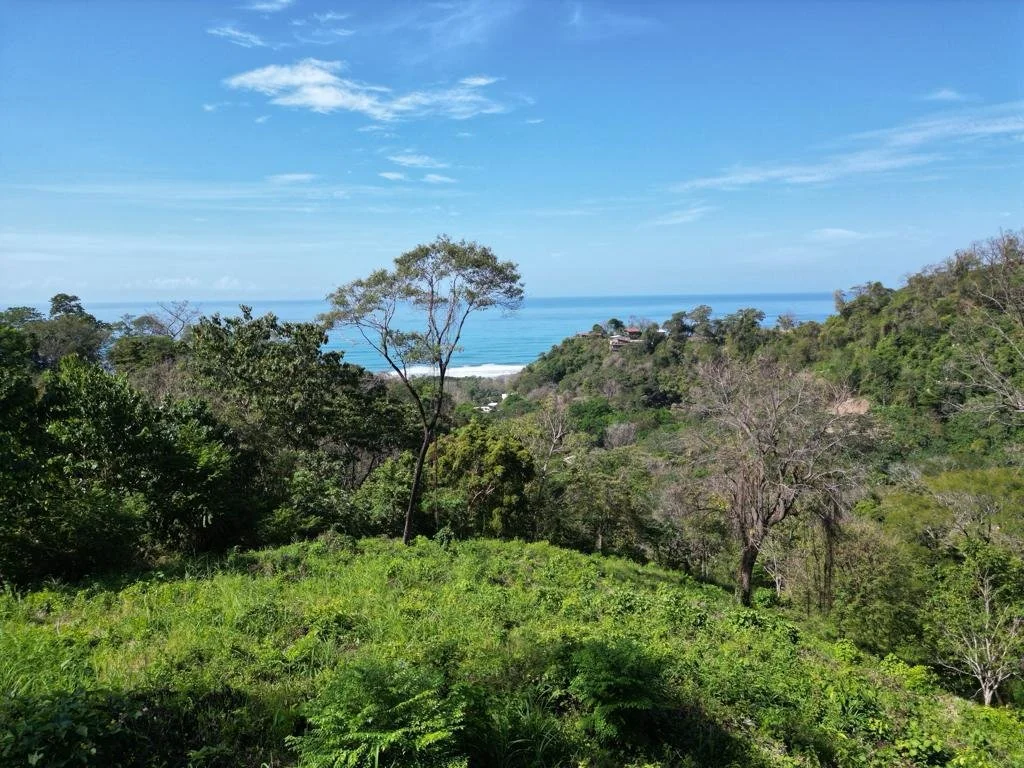 Cabuya Realty - Costa Rica Real Estate Experts