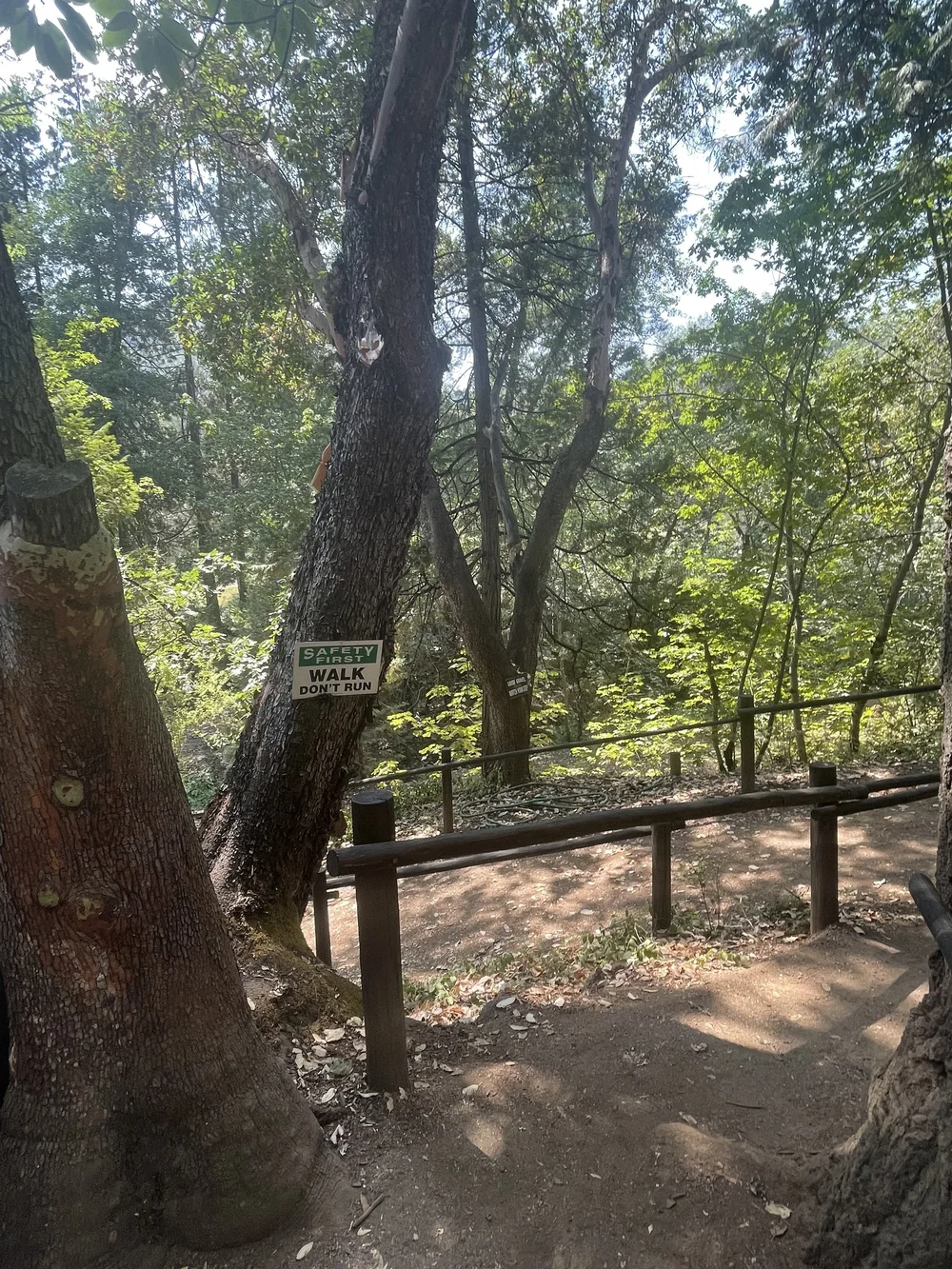 Where the Earth Warps: The Oregon Vortex and the Sacred Geometry of ...
