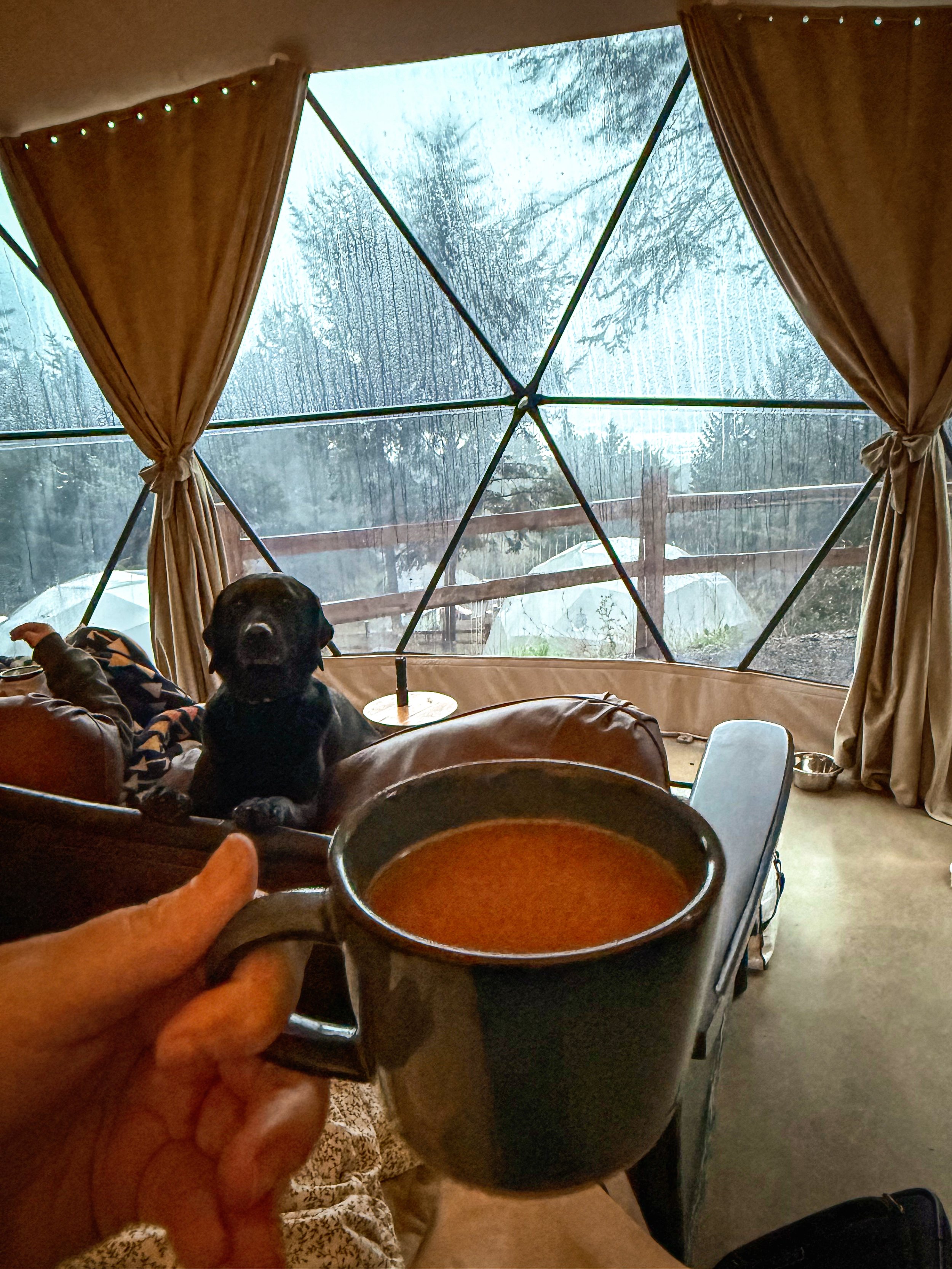 Two Capes Lookout: A Hillside Dome Retreat Near Pacific City — Wild ...