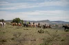 Prude Ranch