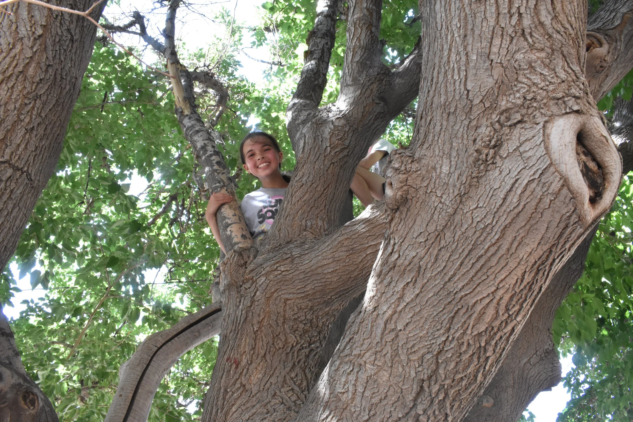 Why PRSC? — Prude Ranch