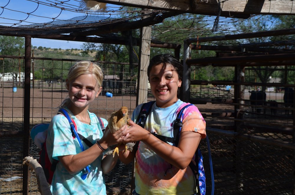 Activities & Schedule — Prude Ranch