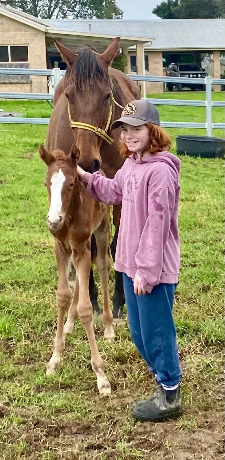 Glenthorne Park Thoroughbreds