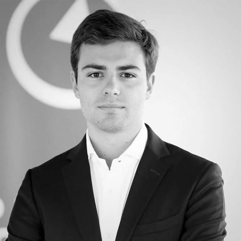 Professionals Profiles — BRIKS